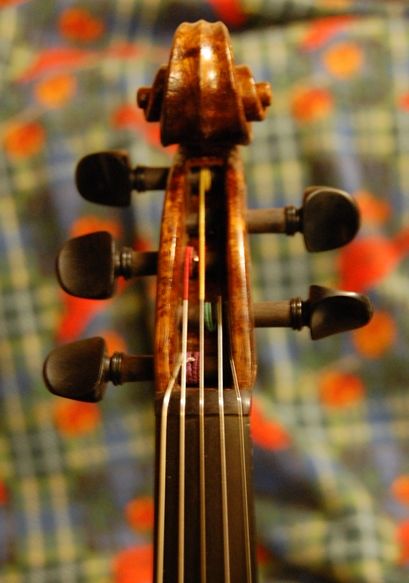 5-string progress #17: done! | Bluefiddle's West Wind Strings